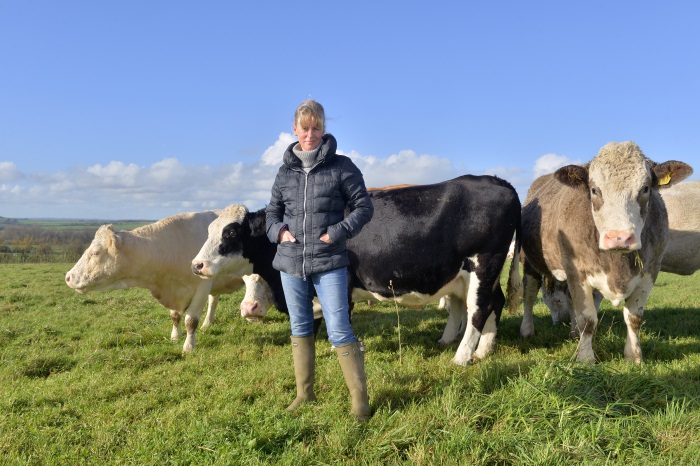 Livestock Information Service can transform livestock sector – NFU ...