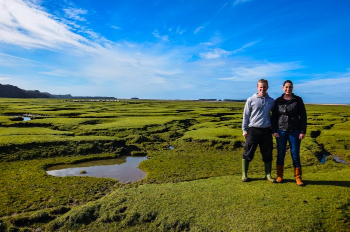 Salt marsh lamb: the Welsh delicacy coming into season this May/June ...