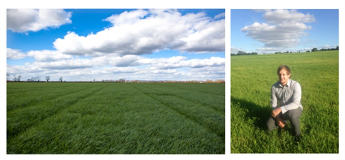 Spring tips for getting a grip on grass growth | Farm Contractor ...