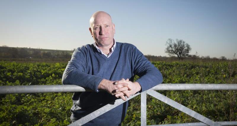 ‘Common sense prevails’ – NFU delivers win on sheep splitting regulations | Farm Contractor ...