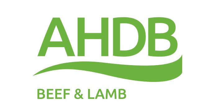 AHDB launches new technical beef events | Farm Contractor & Large Scale ...