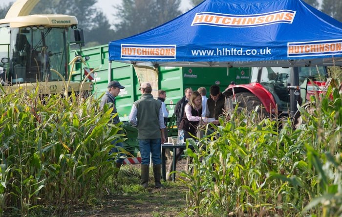 Trials reinforce importance of extending maize nutrition | Farm ...