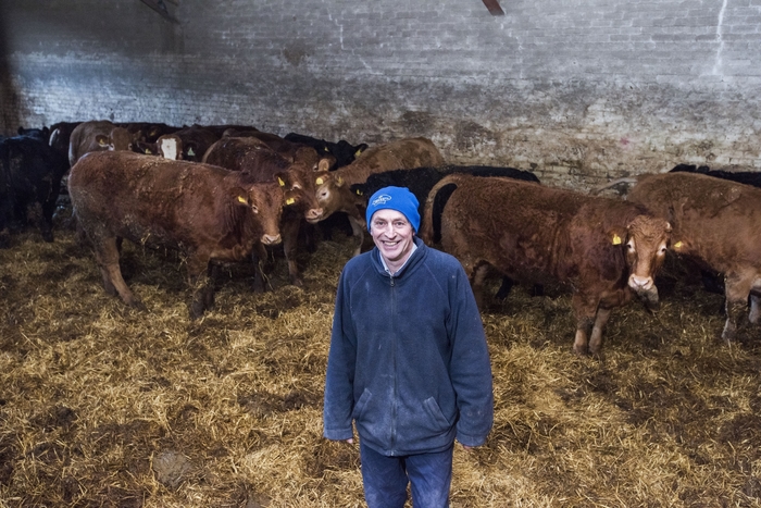 Angus monitor farm to overhaul cattle enterprise | Farm Contractor ...