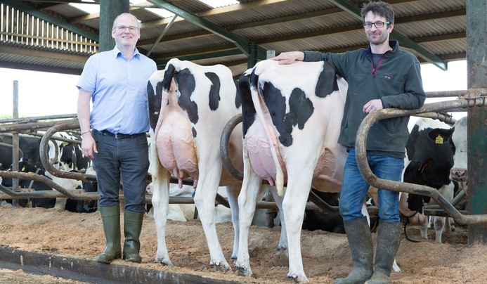 Cogent leads the proven bull rankings | Farm Contractor & Large Scale ...