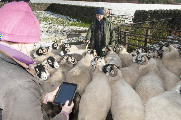 Updated app simplifies flock and herd record keeping | Farm Contractor ...
