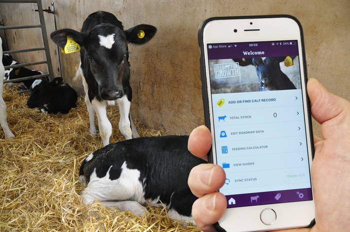 New Calf Growth App And Website From Volac Farm Contractor And Large Scale Farmer