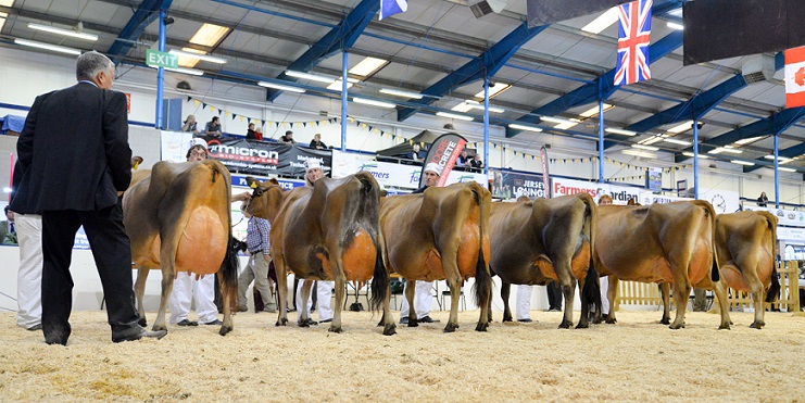 Supreme class judges at the Dairy Show | Farm Contractor & Large Scale ...