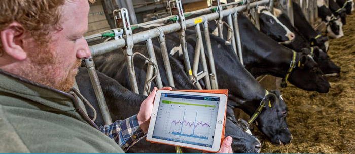 Herd, heifer and youngstock monitoring goes the full distance with new ...