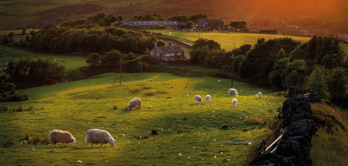 A new dawn for British farming | Farm Contractor & Large Scale Farmer