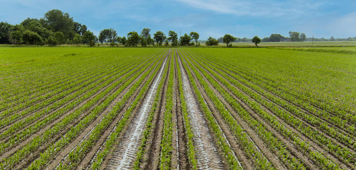 Efficient tramline planning from Lemken | Farm Contractor & Large Scale ...