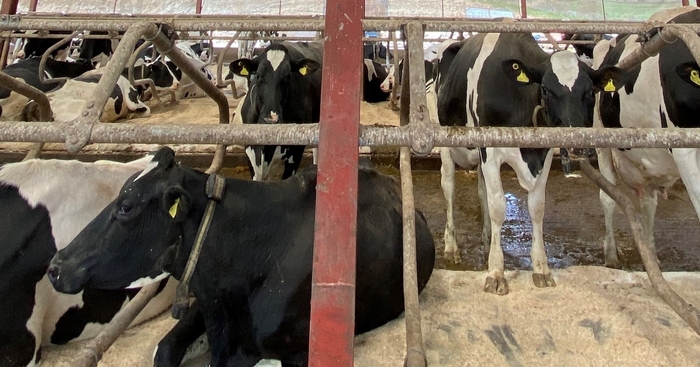 Real-time heat stress monitoring online | Farm Contractor & Large Scale ...