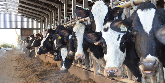 Early signs are of variable first cut analysis | Farm Contractor ...