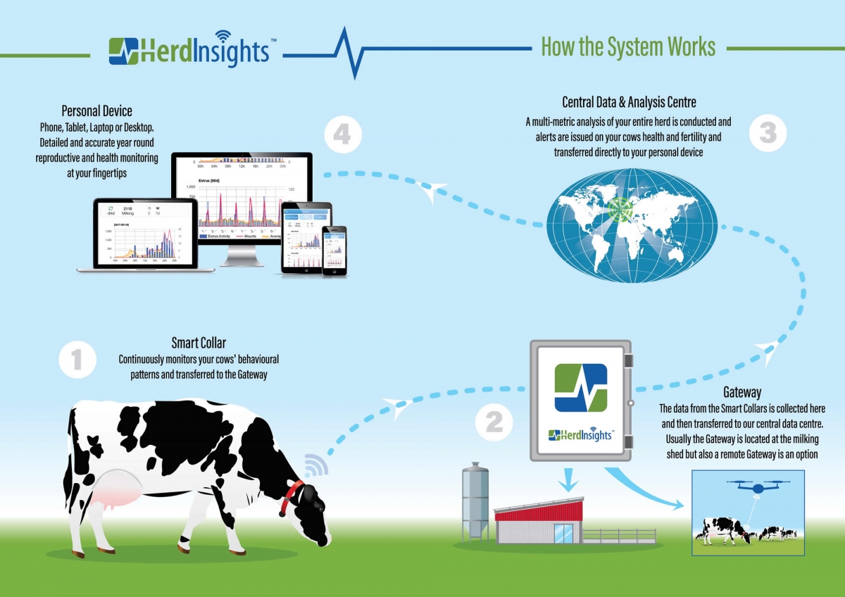 Datamars acquires HerdInsights | Farm Contractor & Large Scale Farmer