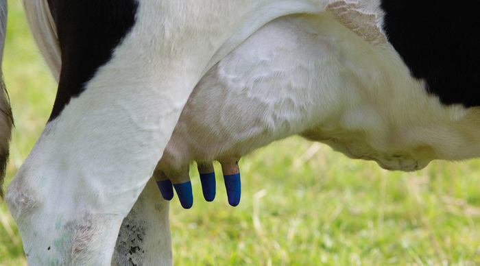 T-HEXX® DRY offer allows for smarter drying off this summer | Farm ...