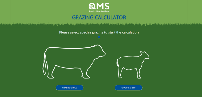 New tool launched to help farmers manage their rotational grazing on ...