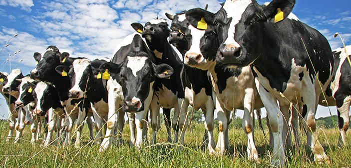 Shuttles for milk sampling | Farm Contractor & Large Scale Farmer