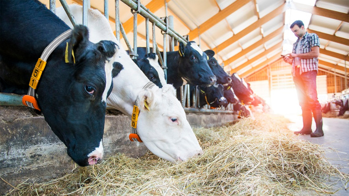 New technology collaboration from Cogent Breeding and Nedap | Farm ...