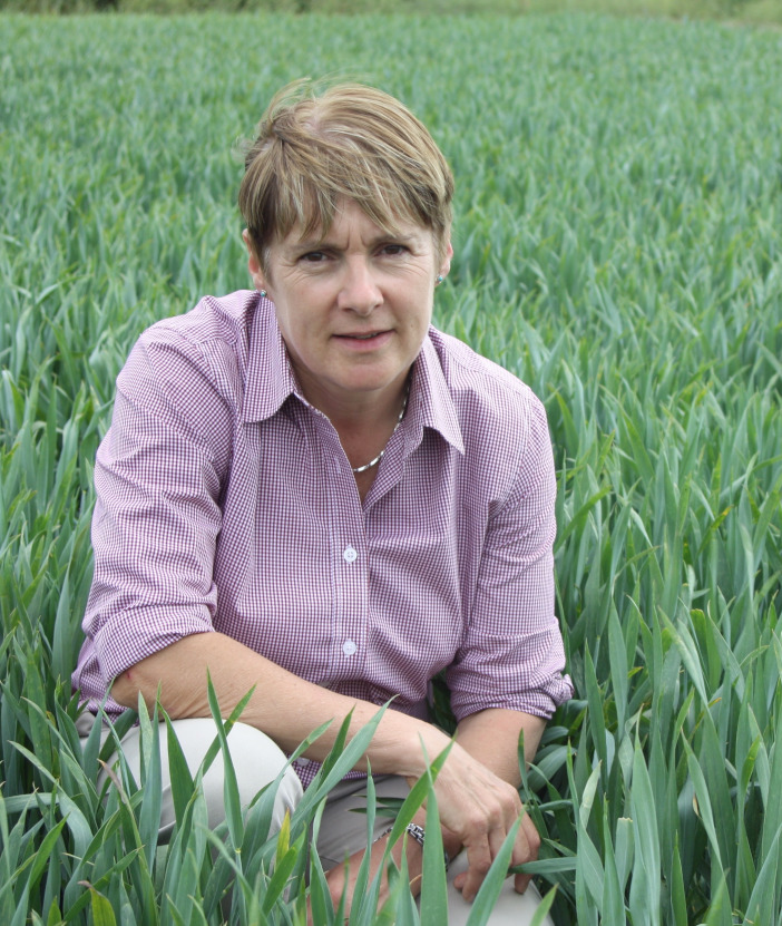 Septoria reemerges in harvest 2021 | Farm Contractor & Large Scale Farmer