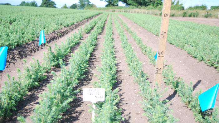 New tree production facility could fulfil industry aspirations | Farm ...