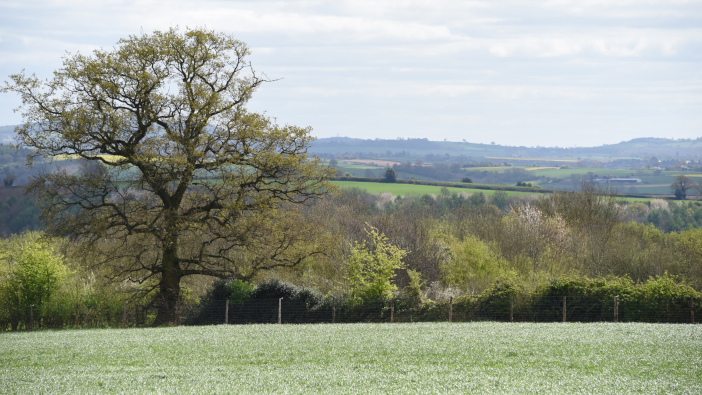 Lump sum exit payments need careful consideration, says Carter Jonas ...