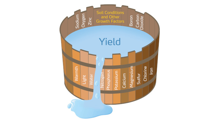 Foliar nutrition can help growers kickstart their crops | Farm ...