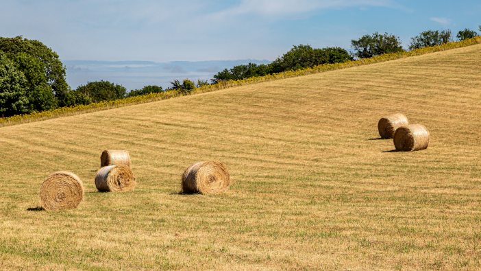 Climate change could drastically reduce spring hay levels | Farm ...