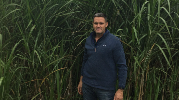 Miscanthus investment pays off for Worcestershire farmer | Farm ...