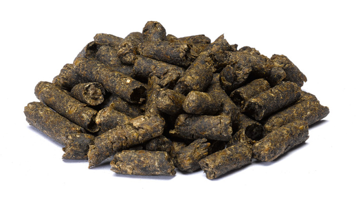 Helping farmers make the most of forage this winter | Farm Contractor ...