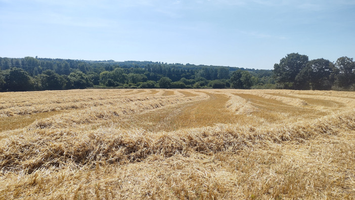 Mole Valley spring barley variety paying dividends | Farm Contractor ...