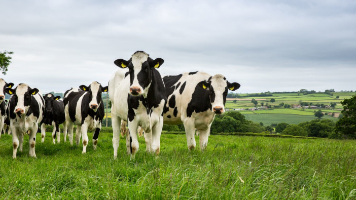 Nutritional management for optimal butterfat production | Farm ...
