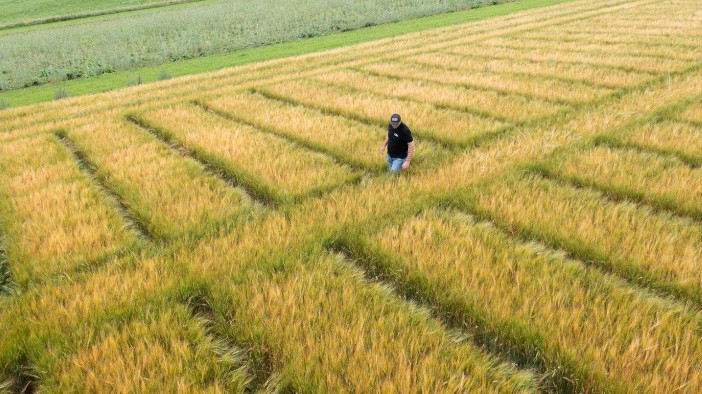 James Hutton Institute to co-lead major research project into land use ...