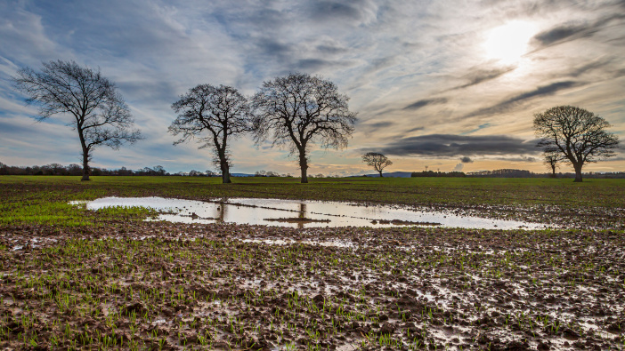 Advice for waterlogged crops | Farm Contractor & Large Scale Farmer