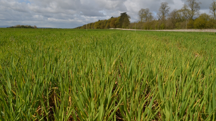 Crop trials to take centre stage at the Arable Event | Farm Contractor ...
